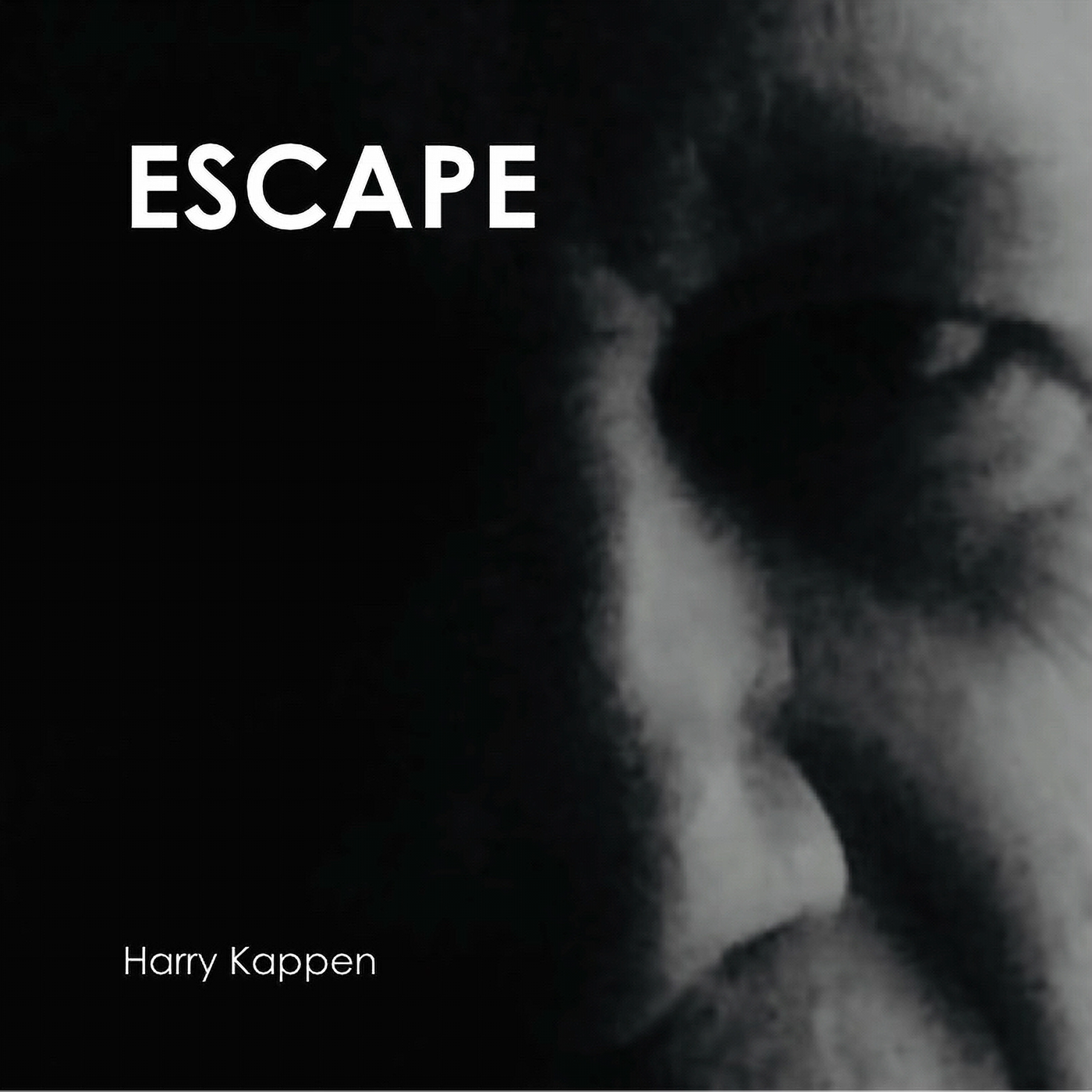 music, musician, songwriter, music therapist, escape, indie, pop, MTS ...